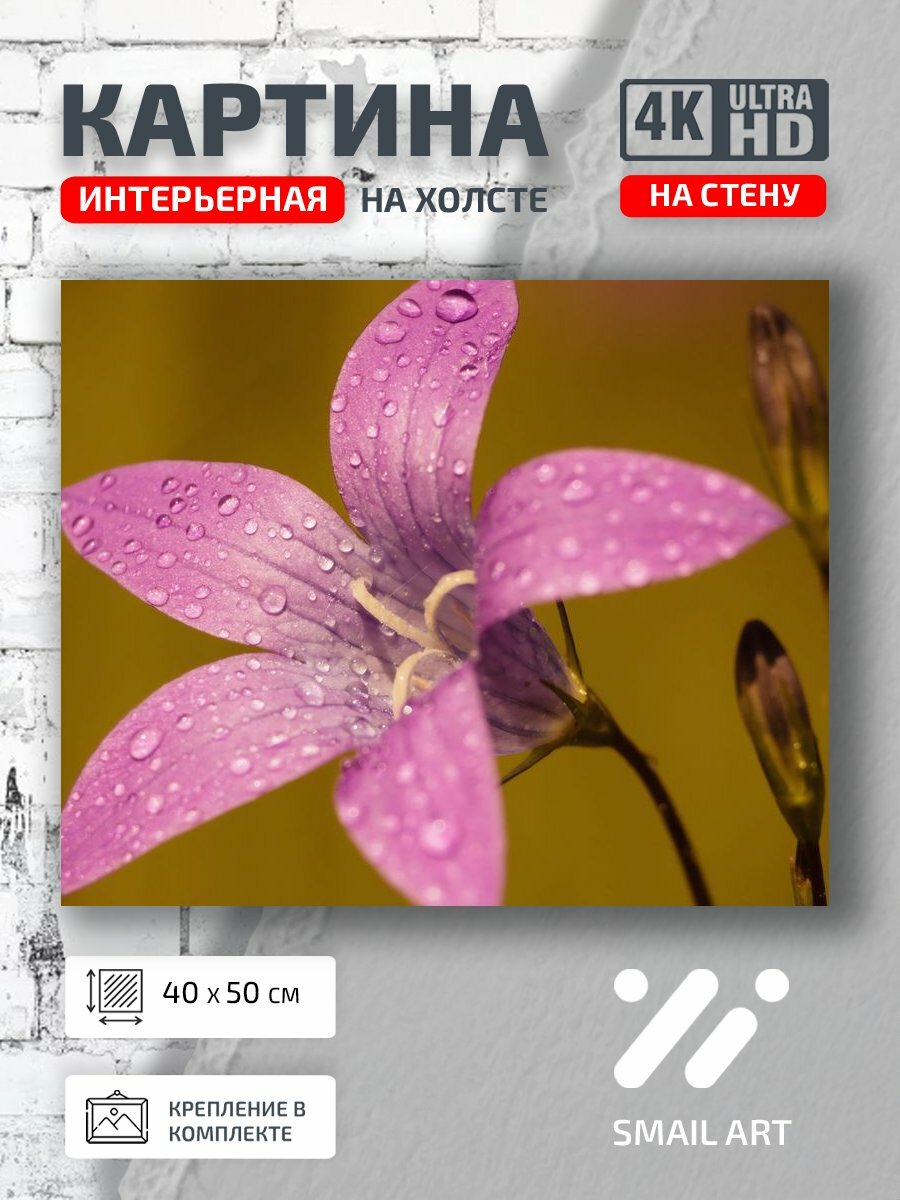 Картина на холсте интерьерная 40 на 50 на стену Розовый Mood для офиса атмосфера интерьер