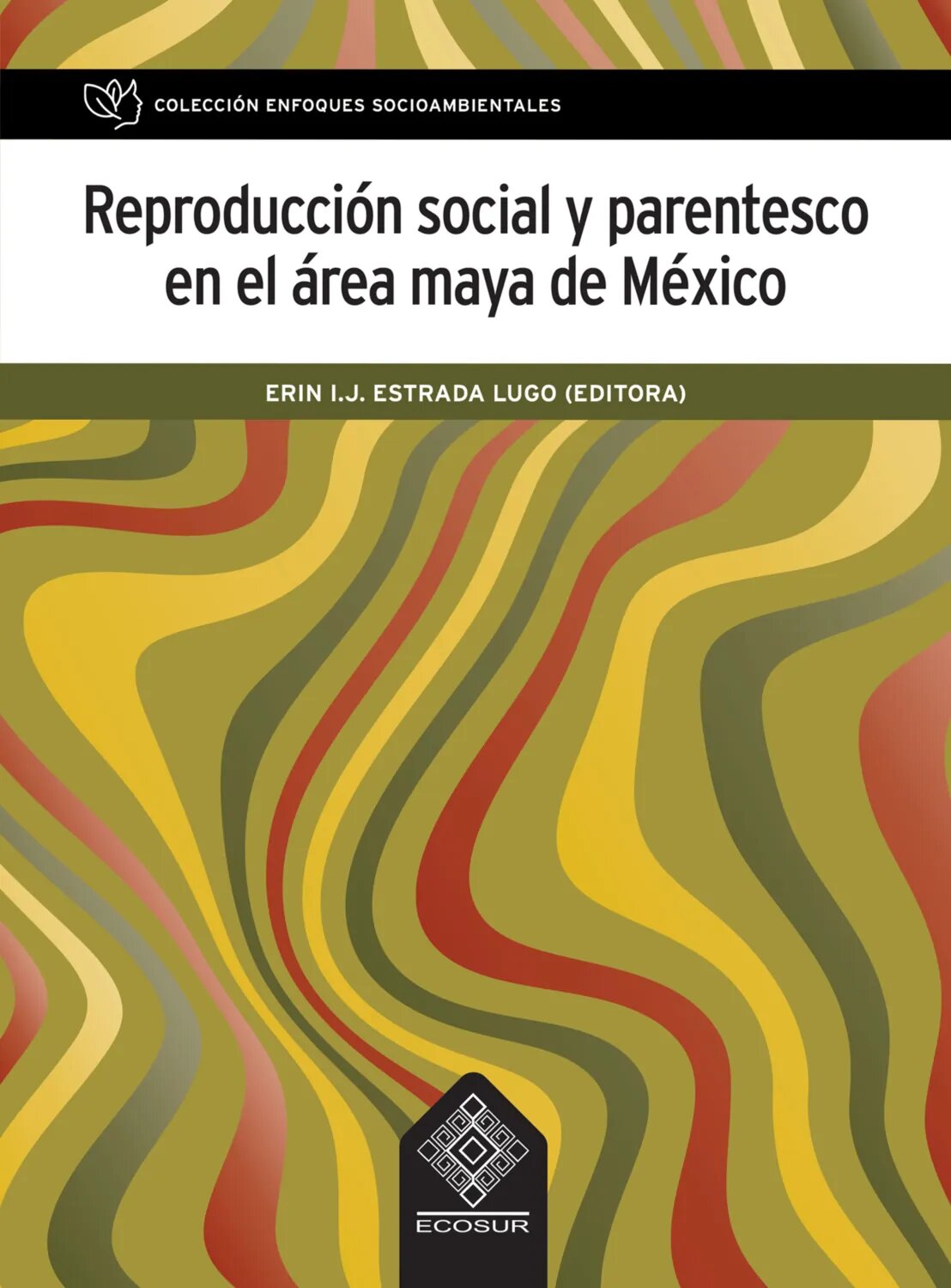 Reproducción social y parentesco en el área maya de México [Цифровая книга]