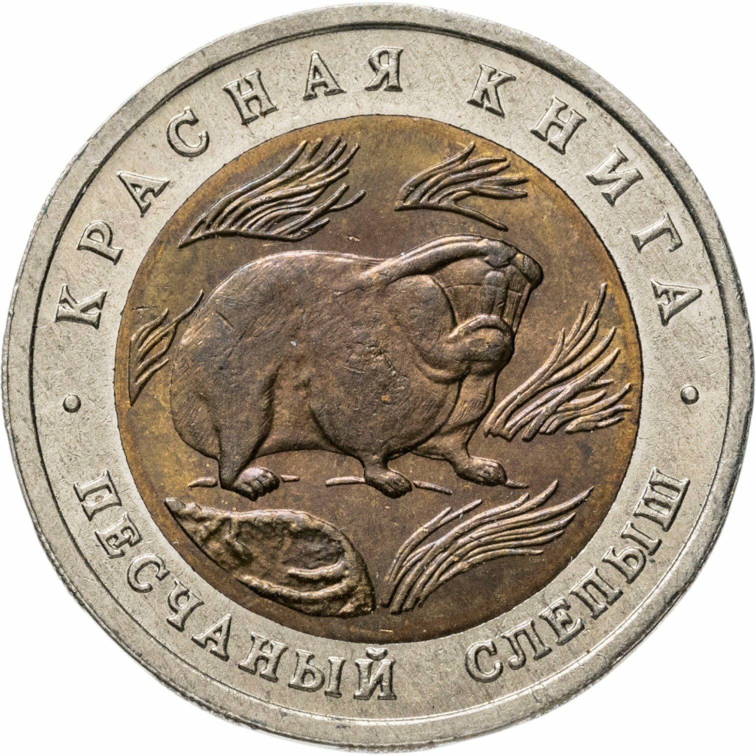 50 рублей 1994 ЛМД Песчаный Слепыш - Красная Книга, Биметалл, в сохранности AU-UNC