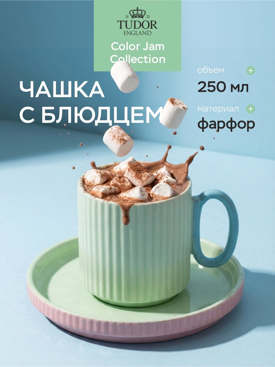 Чайная пара 250мл из фарфора Tudor England Color Jam Collection