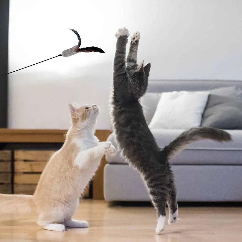 Длинная удочка для кошек с перьями и хвостом кролика, игрушка для питомцев