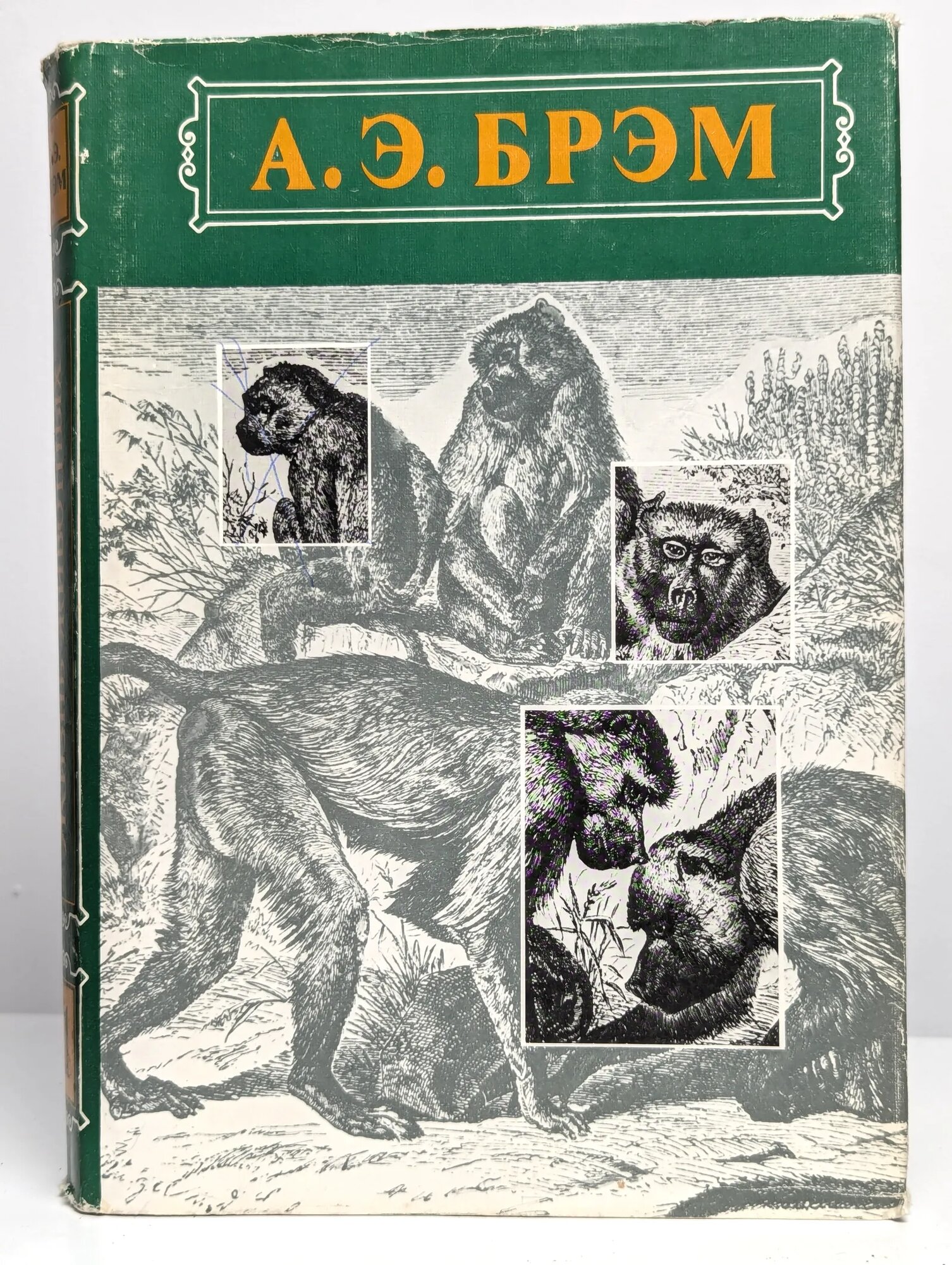 Жизнь животных. Том 1. Млекопитающие Брем Альфред Эдмунд 1992