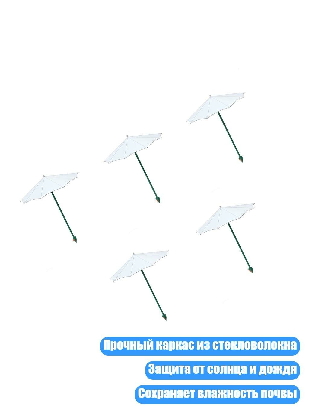 5 шт. зонтиков для растений, Белый