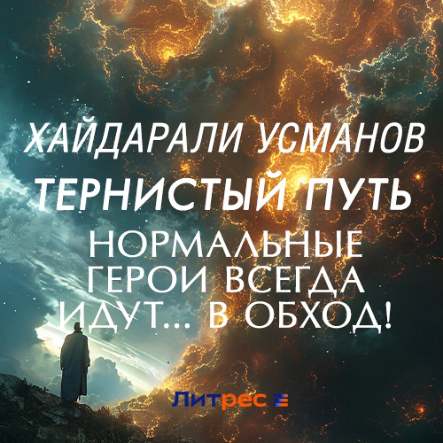 Тернистый путь. Нормальные герои всегда идут… в обход! [Аудиокнига]