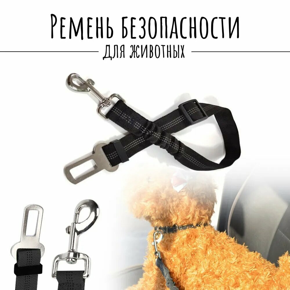 Ремень безопасности для собак