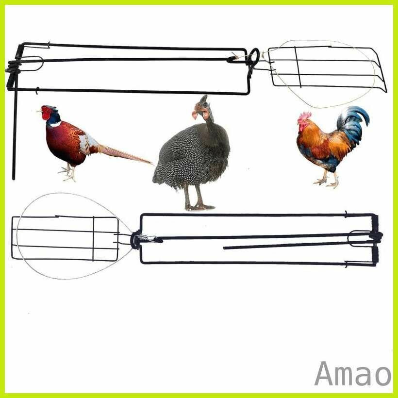 Домашняя пленка для ловушек, клетка для кемпинговых голубей, фазанов для других птиц