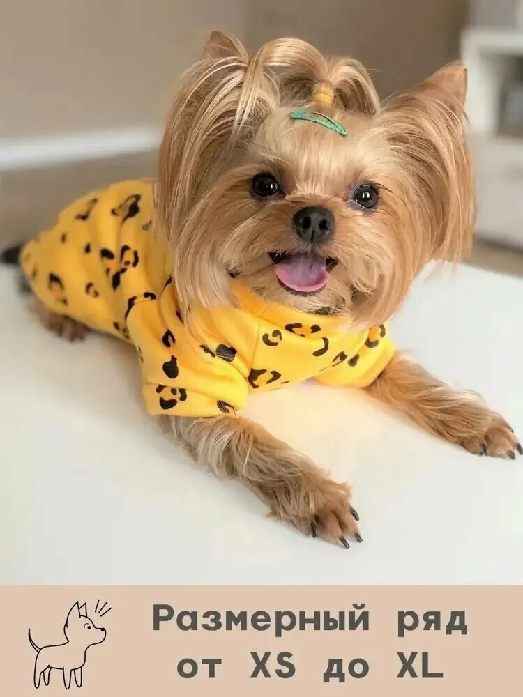 Толстовка для собак и кошек, кофта флис