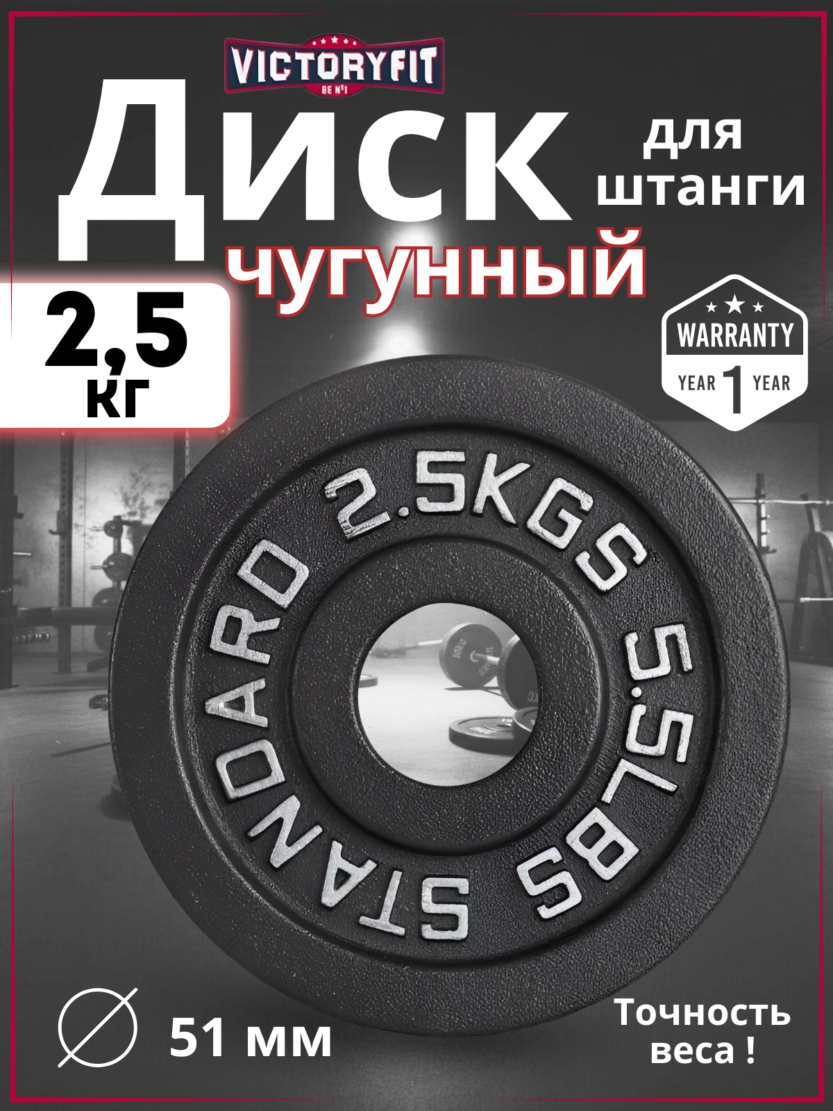 Диск 51 мм. чугунный окрашенный 2,5 кг, VictoryFit VF-SC510250