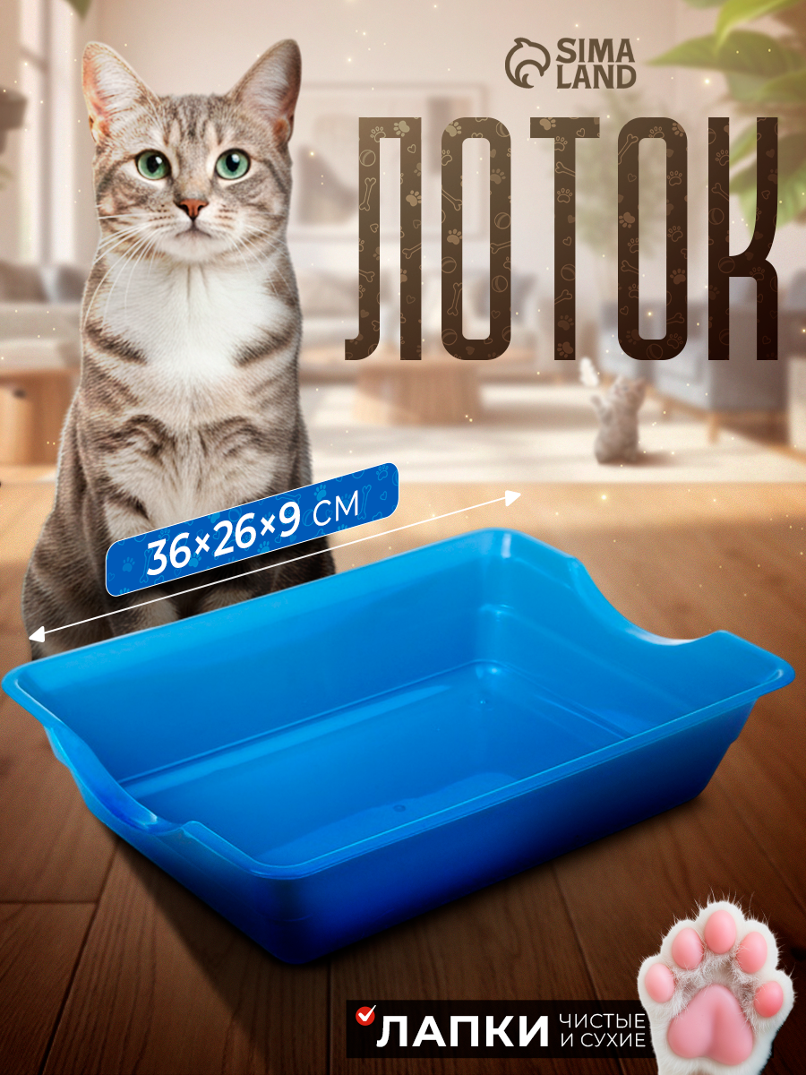 Туалет для кошек Сима-ленд, открытый, без сетки, с бортиком, синий, 36х26х9 см