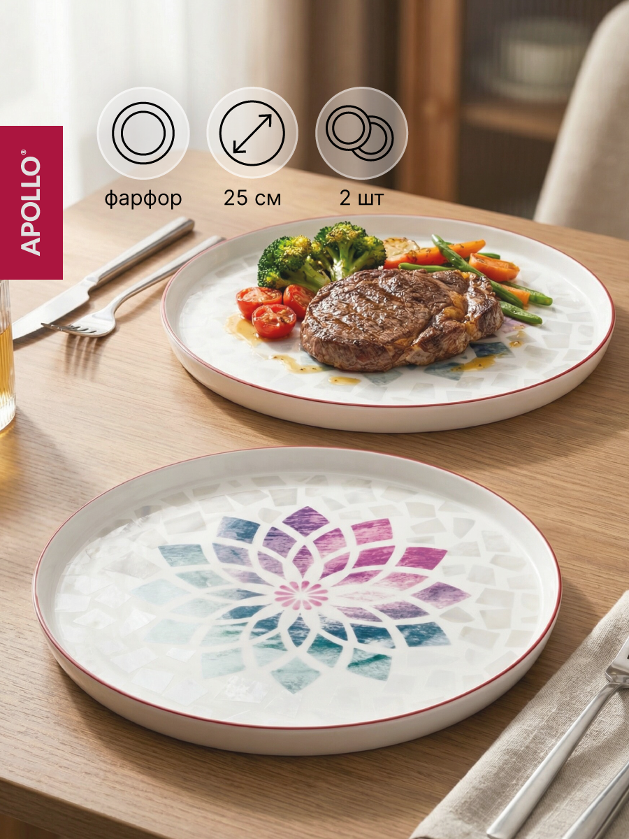 Тарелка обеденная с бортиком, набор столовых тарелок 2 предмета Apollo 25 см
