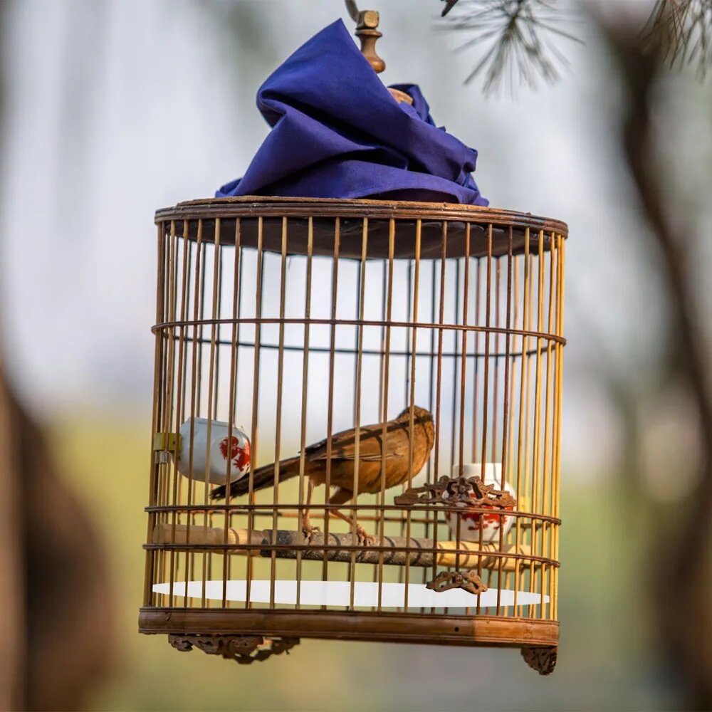 Клеточные Подстилки, Из Бумаги, Для Поддержания Чистоты Клетки, 100 Штук