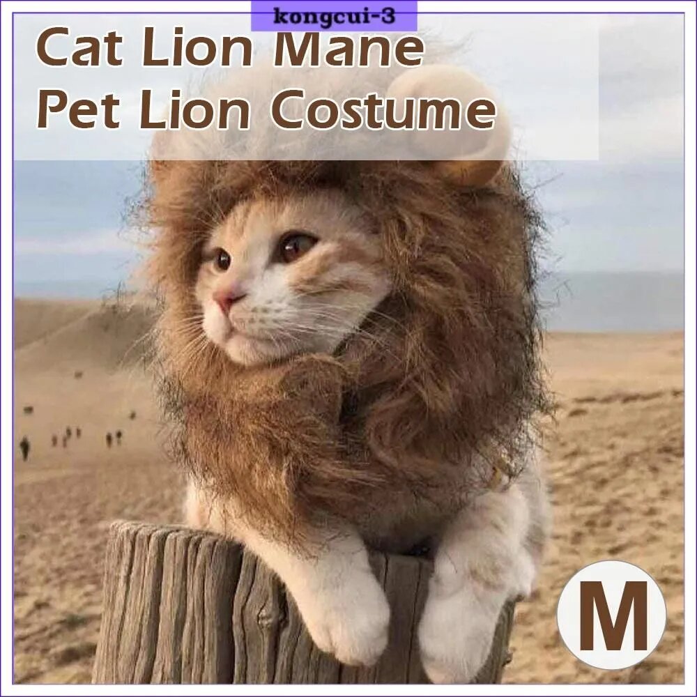Костюм домашнего льва