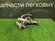 Клапан EGR Opel Corsa D 2006-2011 (1.3 Z13DTJ) Б/У с пробегом Арт. 9687