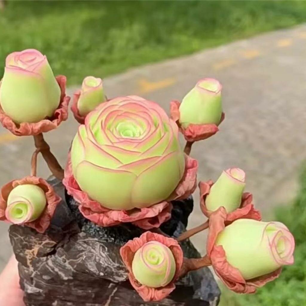 Семена горного розового суккулента, 1000 человек красной границы