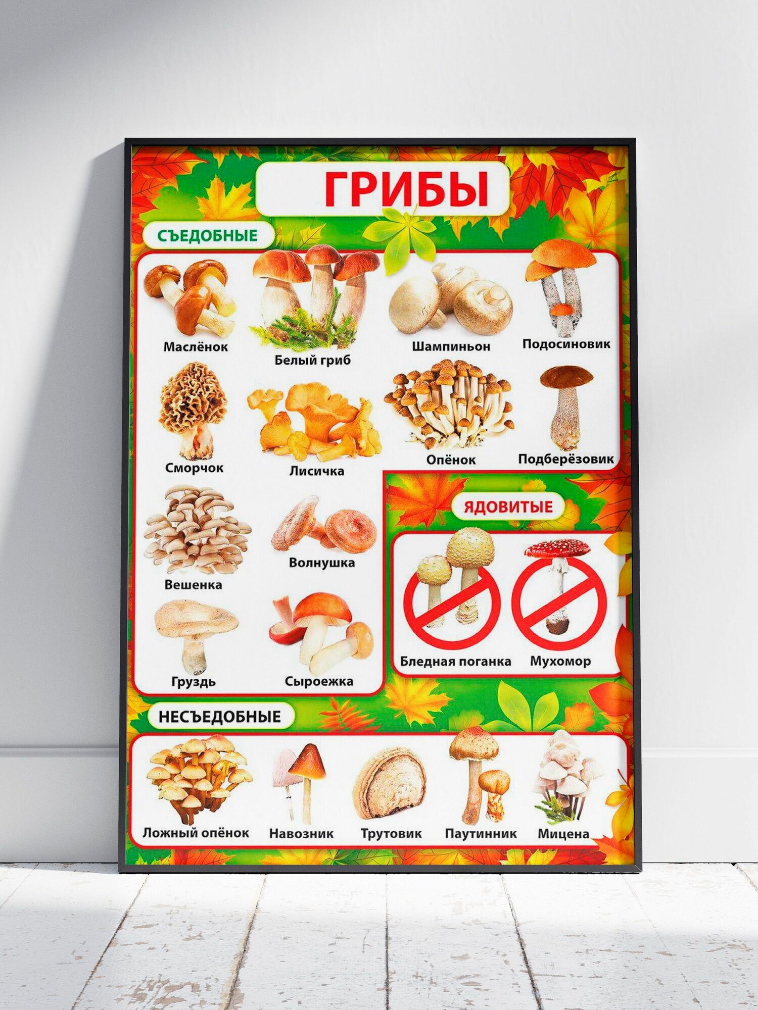 Плакат на стену для интерьера Грибы (Mushroom 26) - Постер по микологии формата A4 (21x30 см)