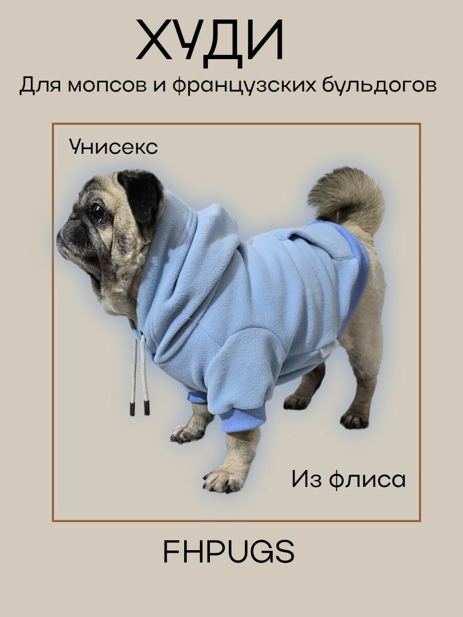 Толстовка-худи для собак, размер S, для мопсов и французских бульдогов, голубой, с капюшоном