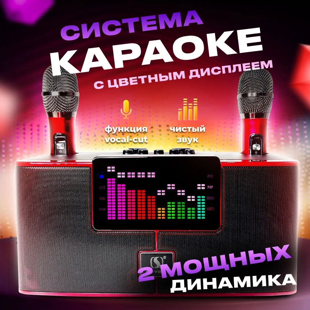 Караоке-система VOXORIA с двумя микрофонами и цветным дисплеем, с функцией vocal-cut