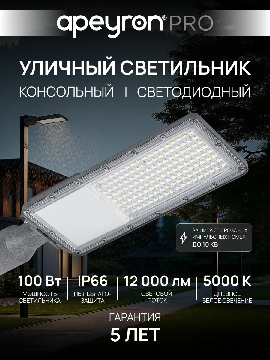Светильник светодиодный консольный уличный Apeyron PRO 29-15, 100Вт, 5000К, 12000Лм, IP66, серый
