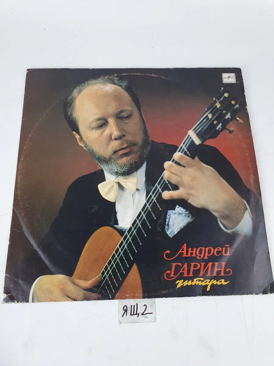 Виниловая пластинка Андрей Гарин, гитара