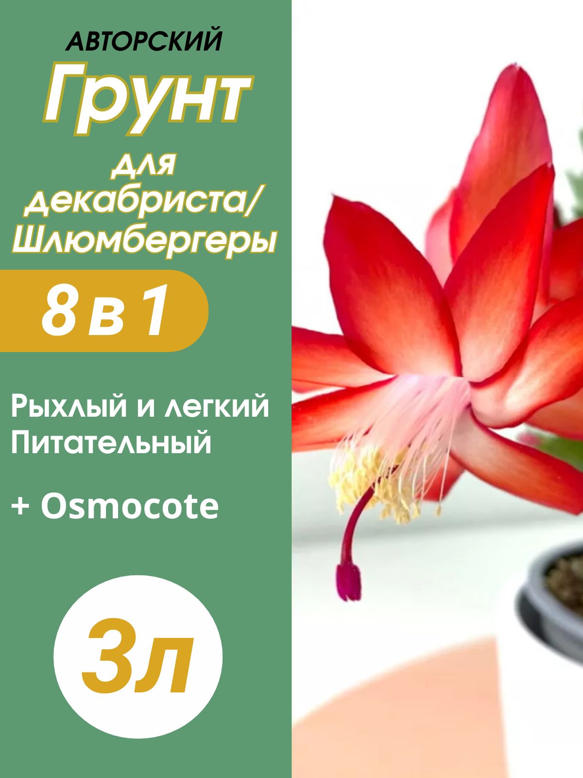 Грунт для Декабриста, Шлюмбергера, Рипсалидопсиса 3л готовый