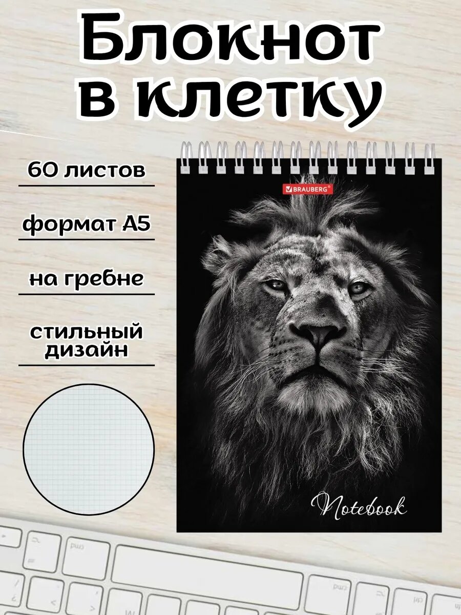 Блокнот для записей в клетку на пружине А5