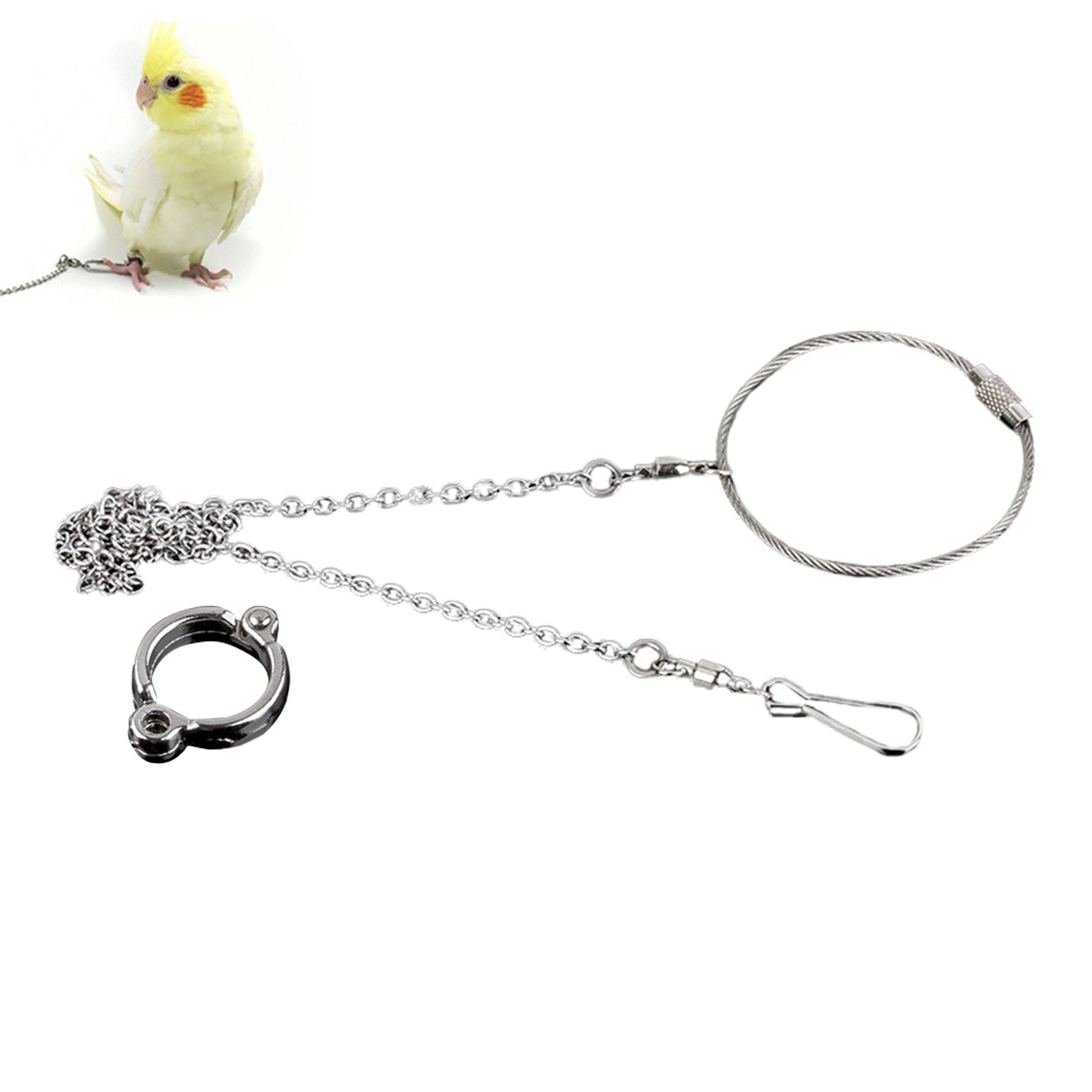 Кольца и цепи для лап попугаев из нержавеющей стали серебристого цвета, размеры колец 4/5/6/7/8/9/10/12, цепи A#/B#/C#/D#, для тренировки полета, аксессуары для птиц, 1 шт. в упаковке