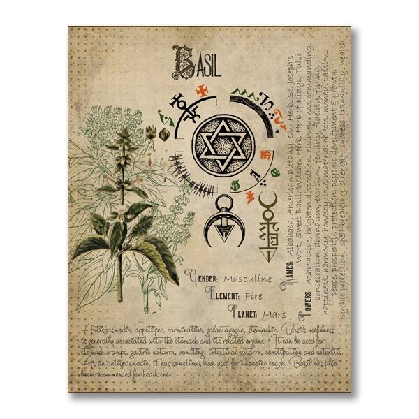 Принты Witchcraft Book of Shadows dulike PB2268, A5 15x21 cm No Frame