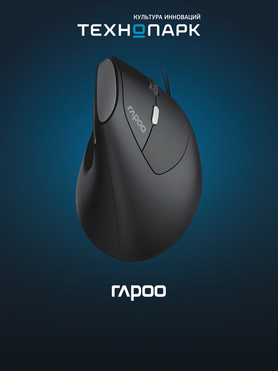 Компьютерная мышь Rapoo EV200 чёрный