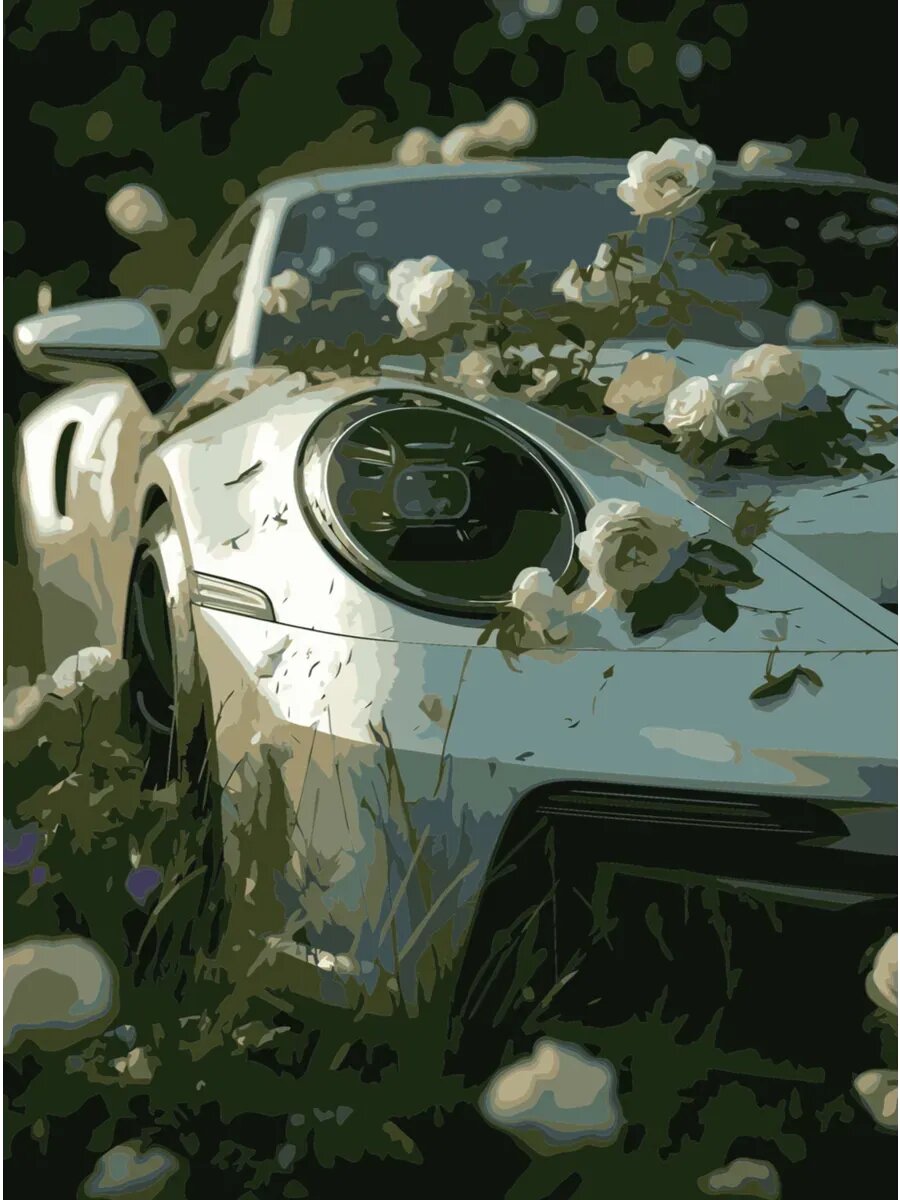 Картина по номерам 30x40 см машина