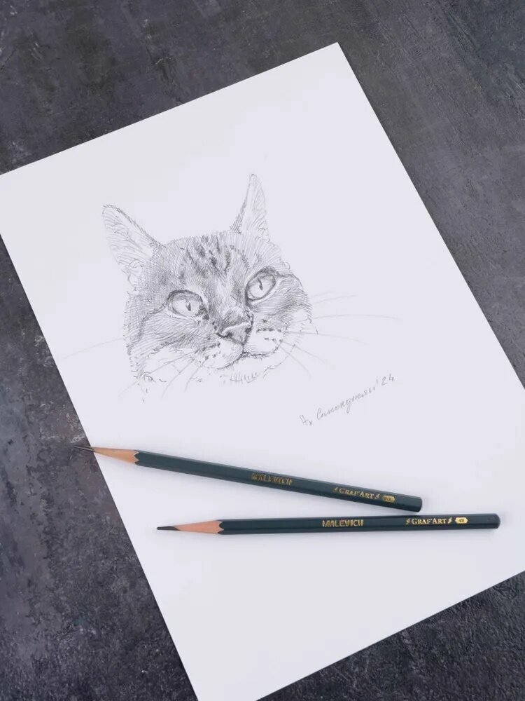 Бумага для рисования A4 (21 × 29.7 см), 40 лист, шт