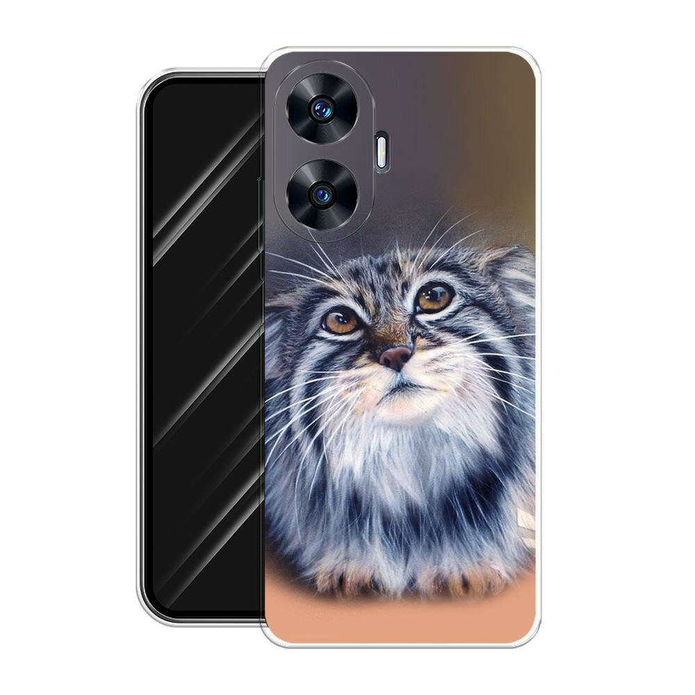 Силиконовый чехол на Realme C55 / Реалми C55 с принтом "Кот манул 2" — фото 1