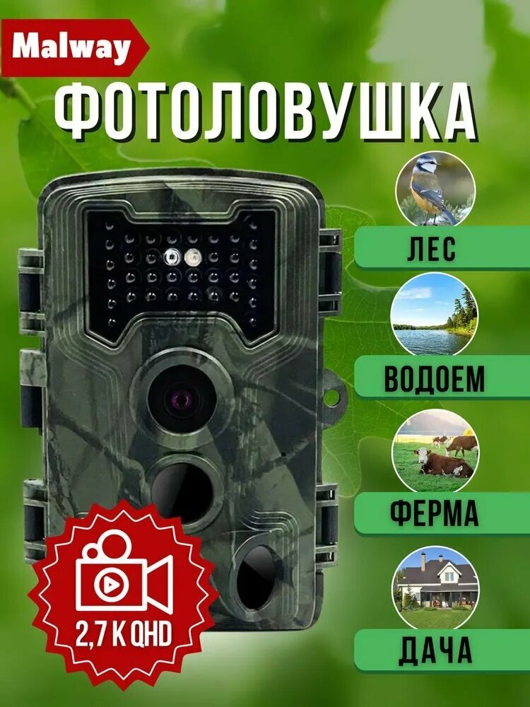 Фотоловушка — фото 1