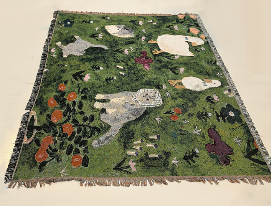 Плед "INS",220x160см, мягкий флизелин с натуральной пряжей, с кисточками