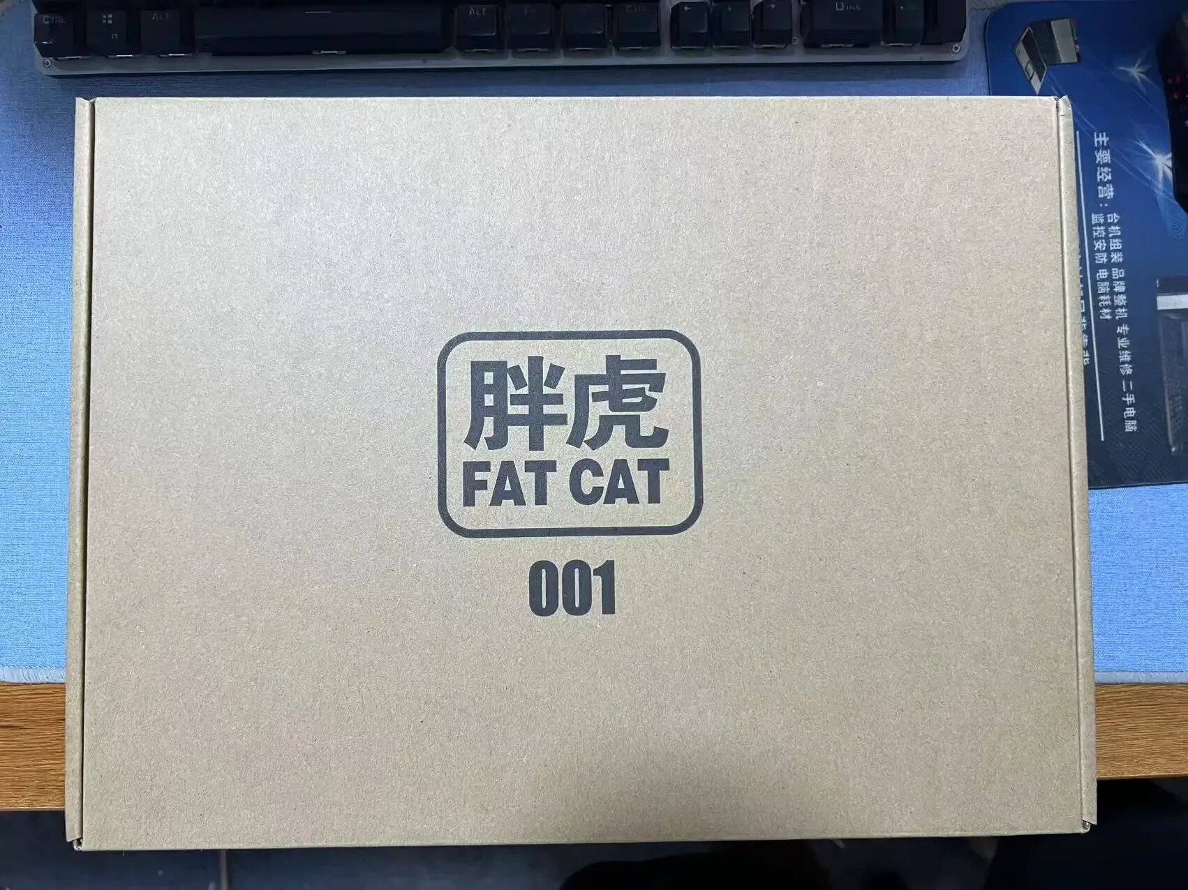 Модель FAT CAT RX-78-2 1/100 Original box