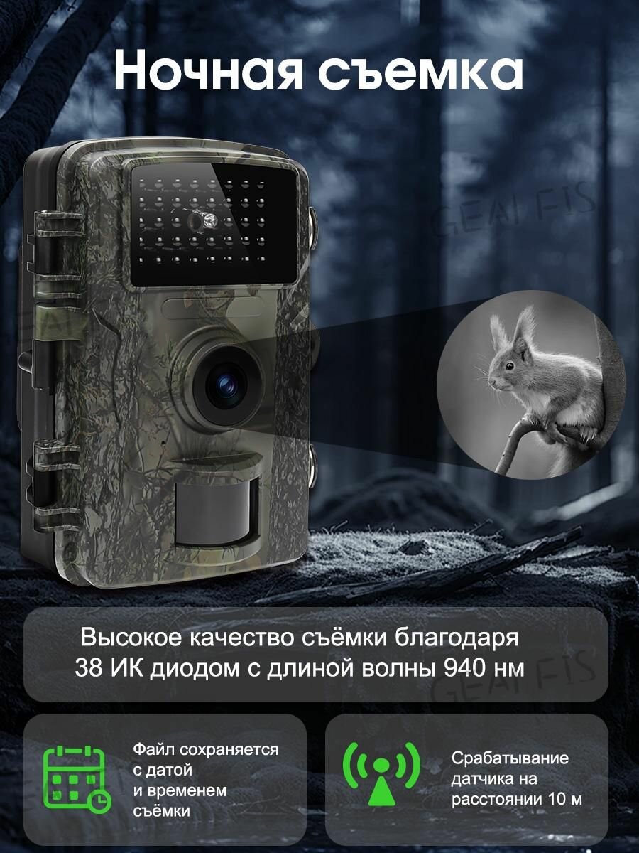 Фотоловушка — фото 1