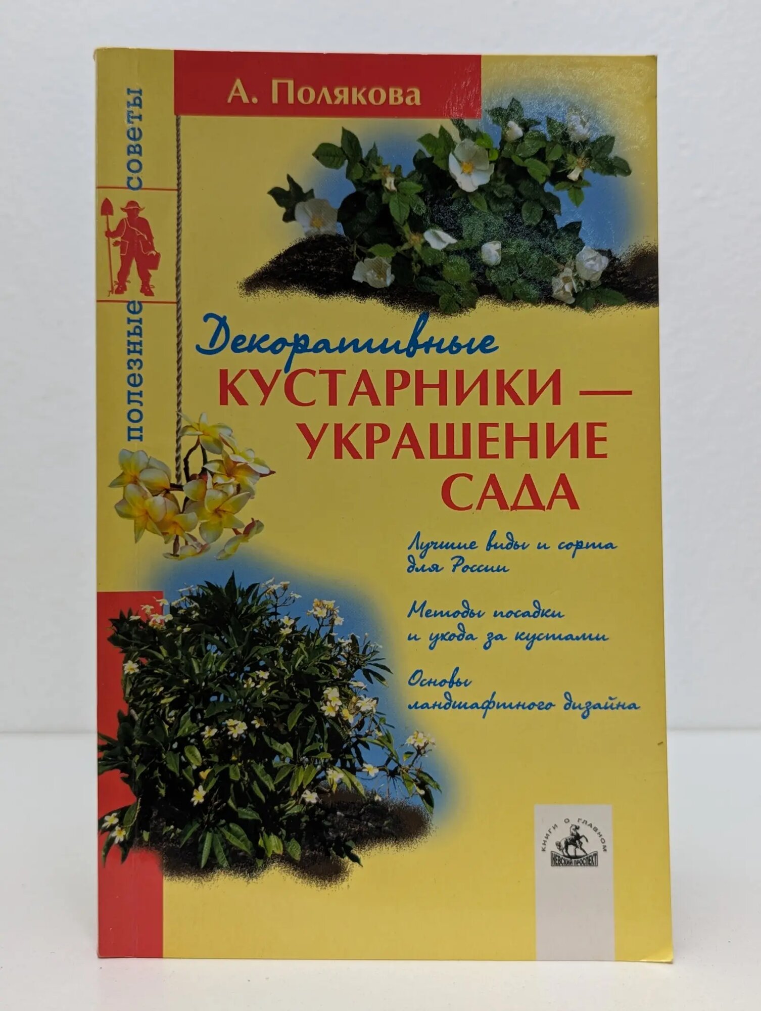 Декоративные кустарники — украшение сада Полякова Антонина 2003