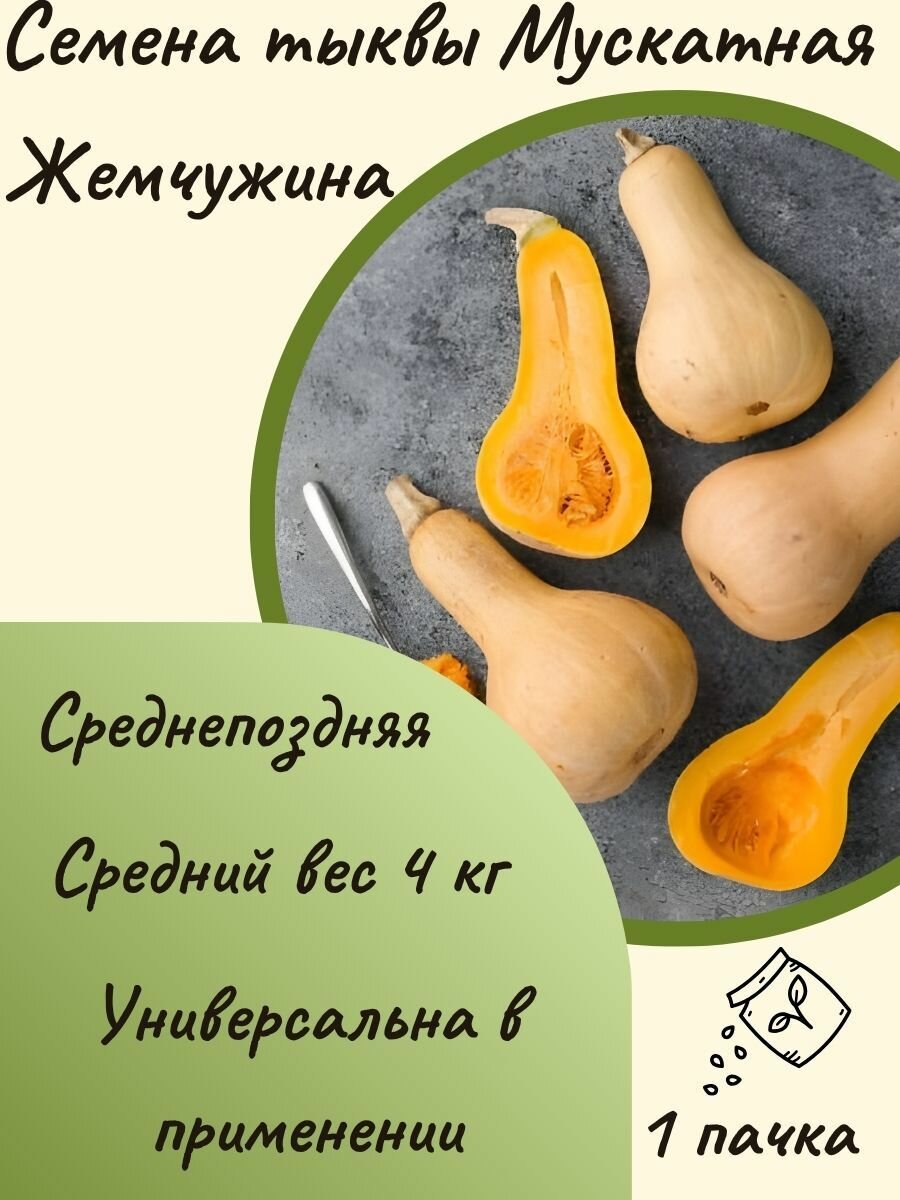 Семена тыквы Мускатная Жемчужина, 10 шт. семян