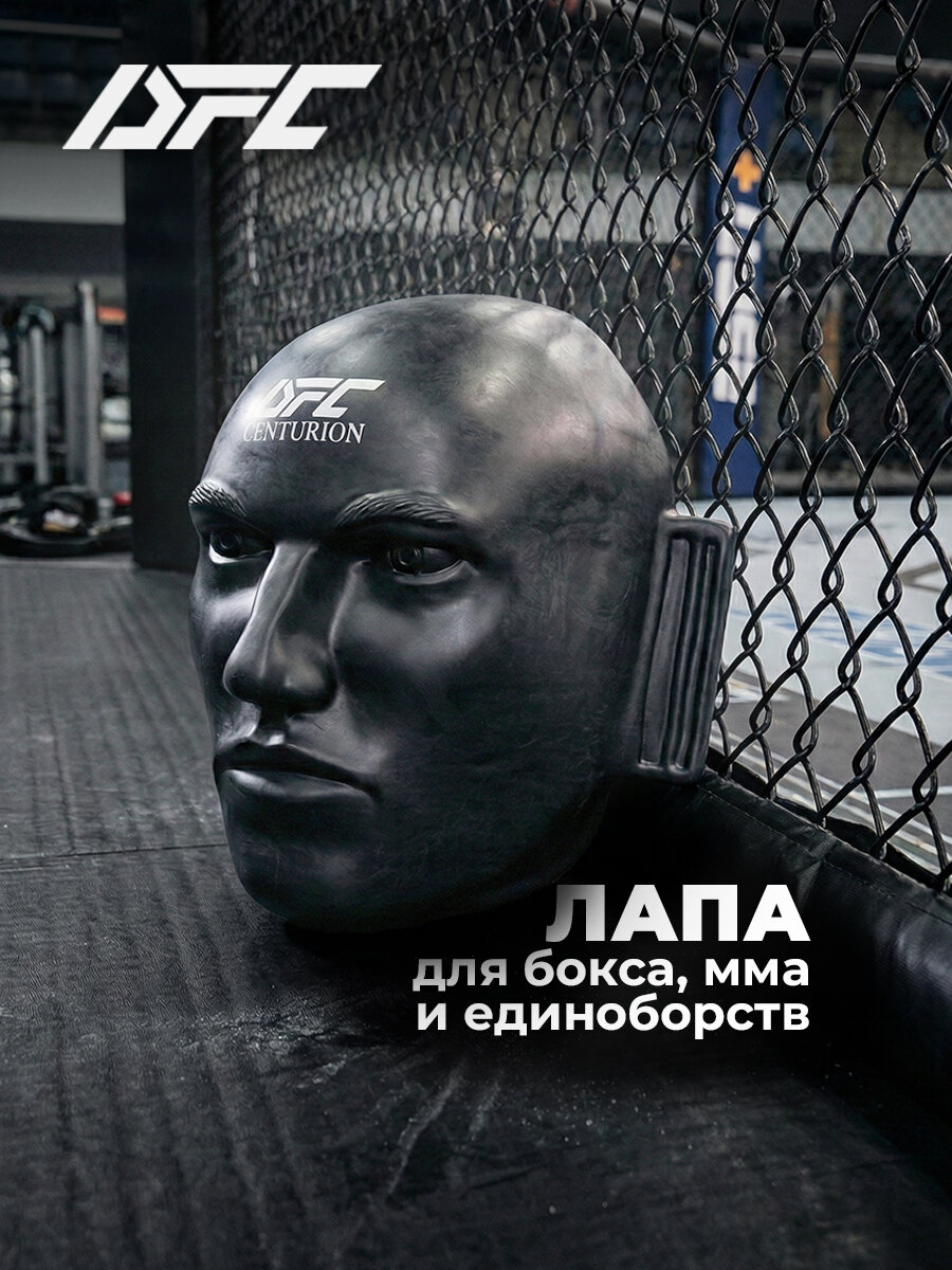 Лапа боксерская DFC TLS-J Mask-Punching, черный, искусственная кожа, 11x22x16 см