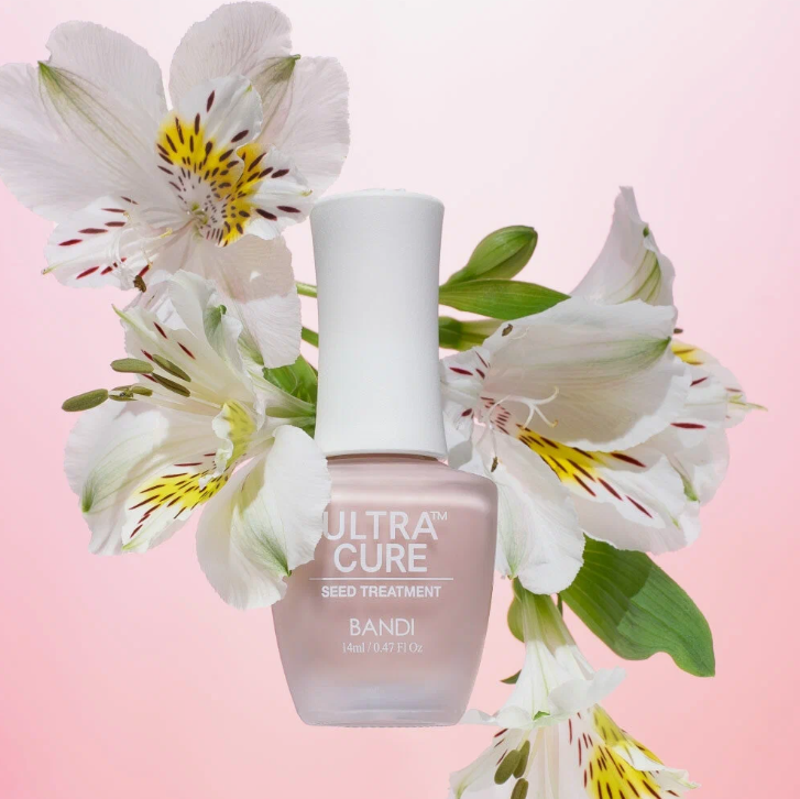 BANDI Покрытие для ногтей укрепляющее Ultra Cure BB Cover, 47 мл