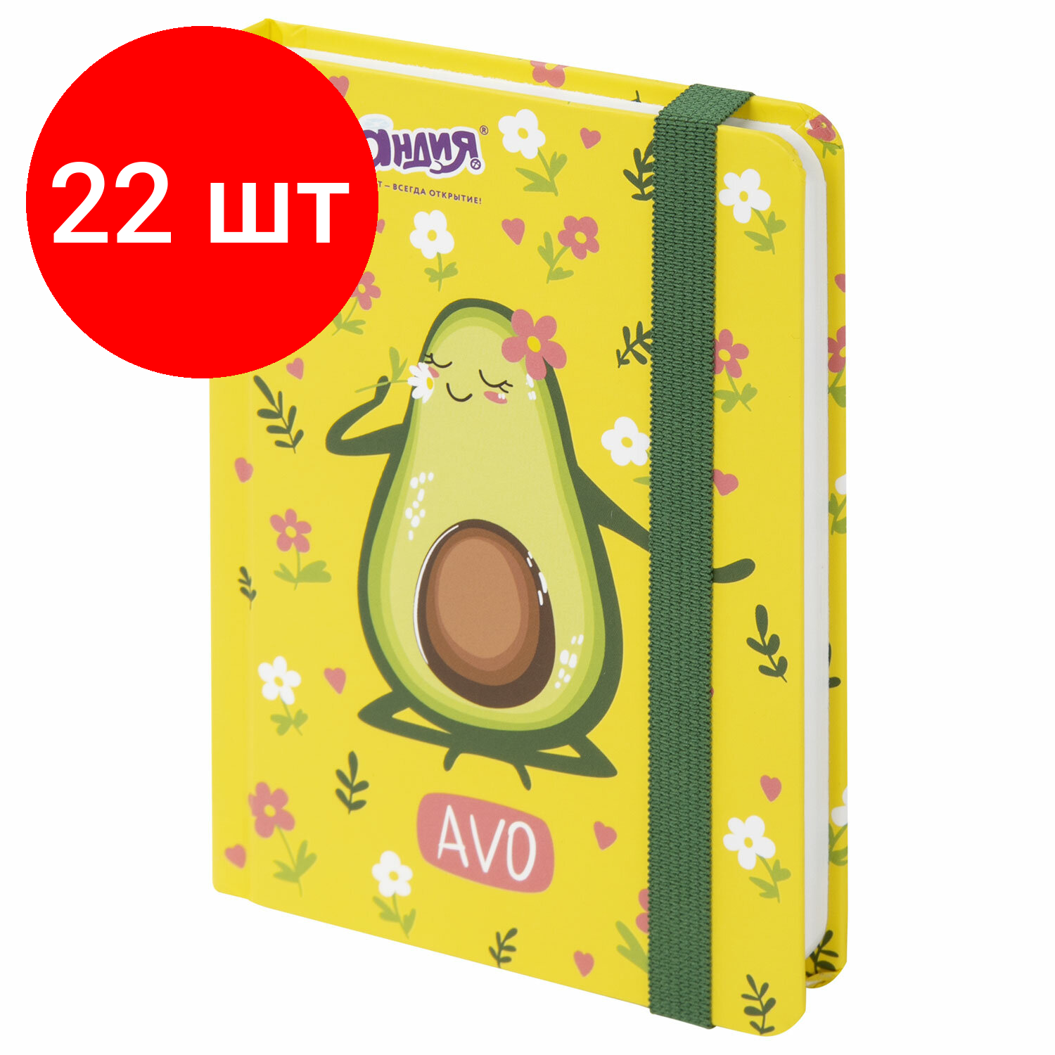 Комплект 22 шт, Блокнот с резинкой в клетку 96 л, Малый формат А6 (102х148 мм), твердая обложка, юнландия, "Авокадо", 113745