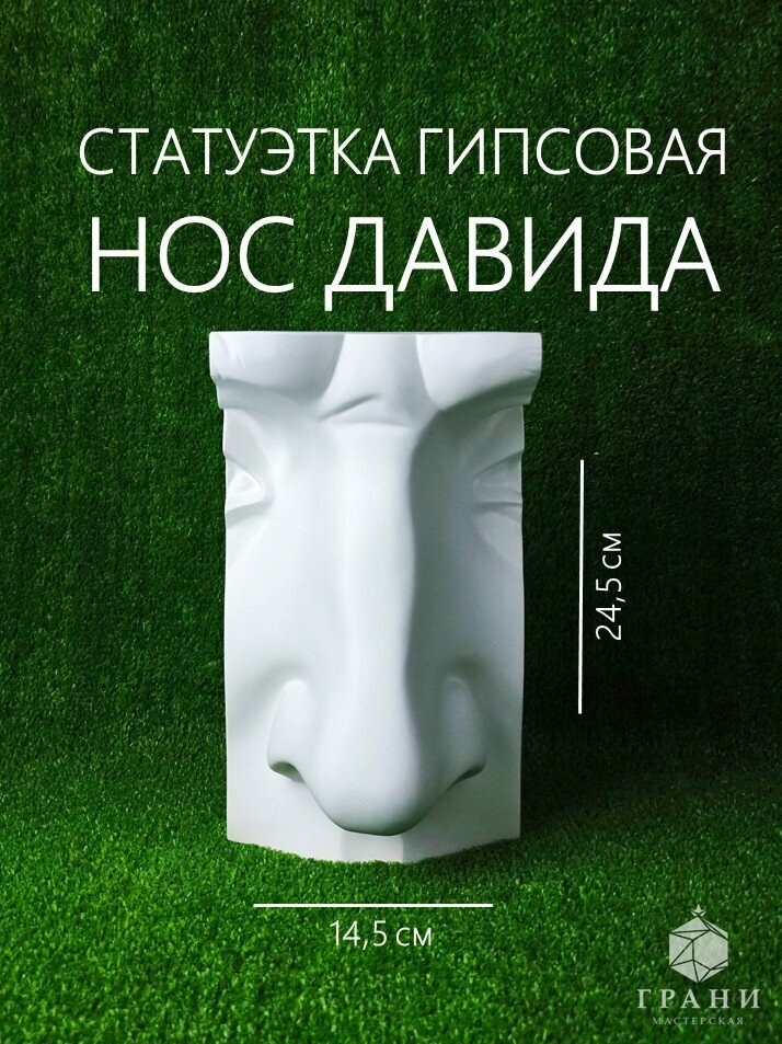 Статуэтка гипсовая "Нос Давида", 24х14, наглядное учебное пособие для художников, подарок художнику, Мастерская "грани"