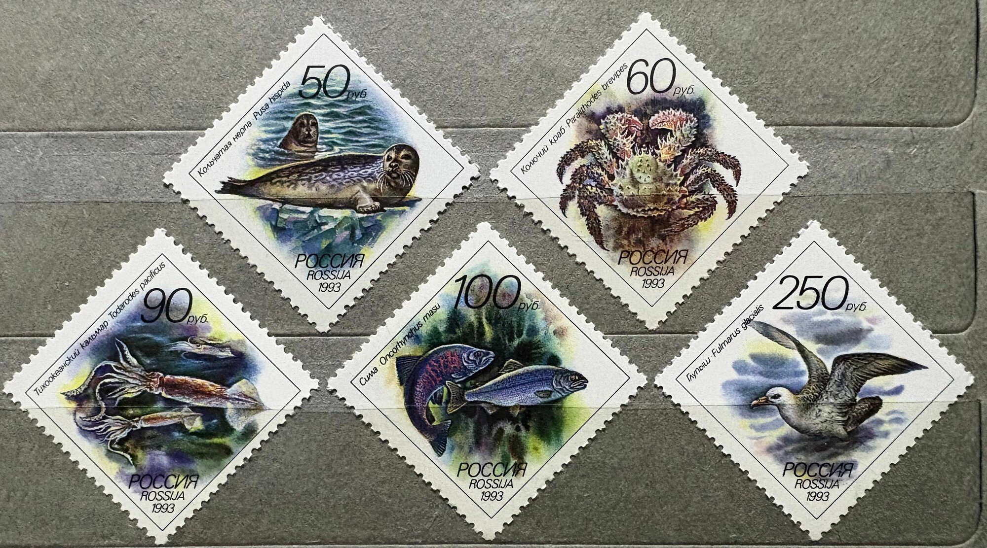 Россия 1993, Фауна. Животные