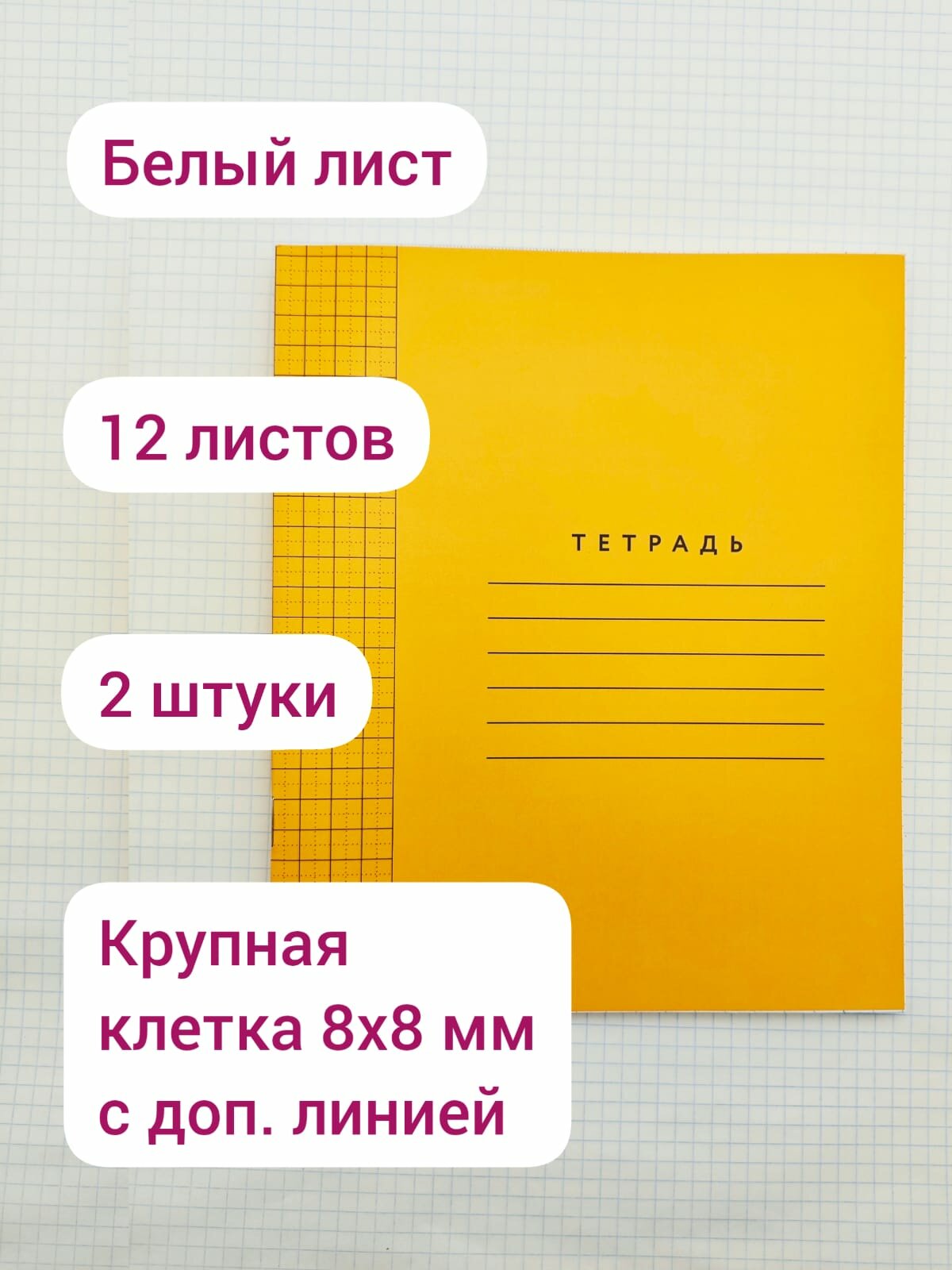Тетрадь Мазиной пишу красиво в крупную клетку 8х8 мм с дополнительными линиями, набор 2 штуки