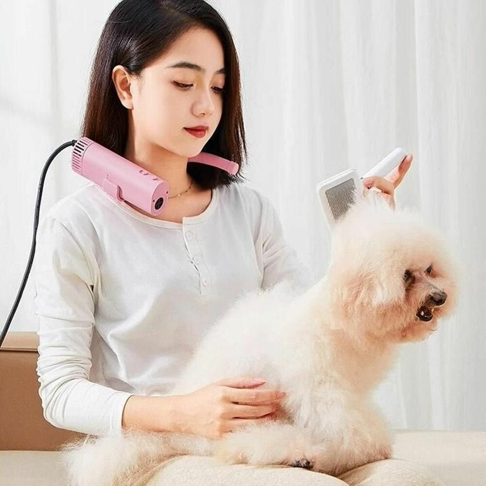 Фен для домашних животных с отрицательными ионами/сильный ветер бесшумный/универсальный для кошек и собак