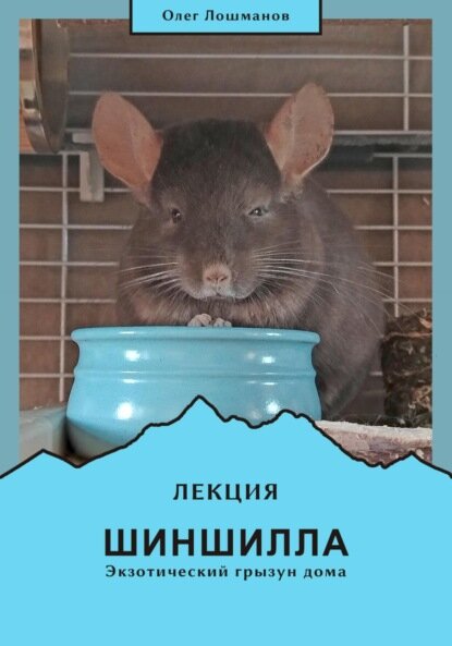 Шиншилла – экзотический грызун дома [Цифровая книга]
