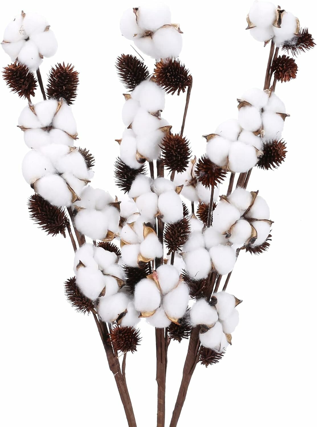 3 шт. натуральных хлопковых цветов, букет из 6 головок натуральных сухоцветов, декоративный белый, 72 см, ветка сухоцвета с шишками для оформления свадебного стола на балконе, цветочная композиция