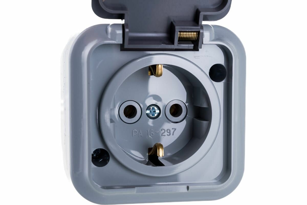 Розетка одинарная с брызгозащитой IP54 серая РА16-297 Пралеска