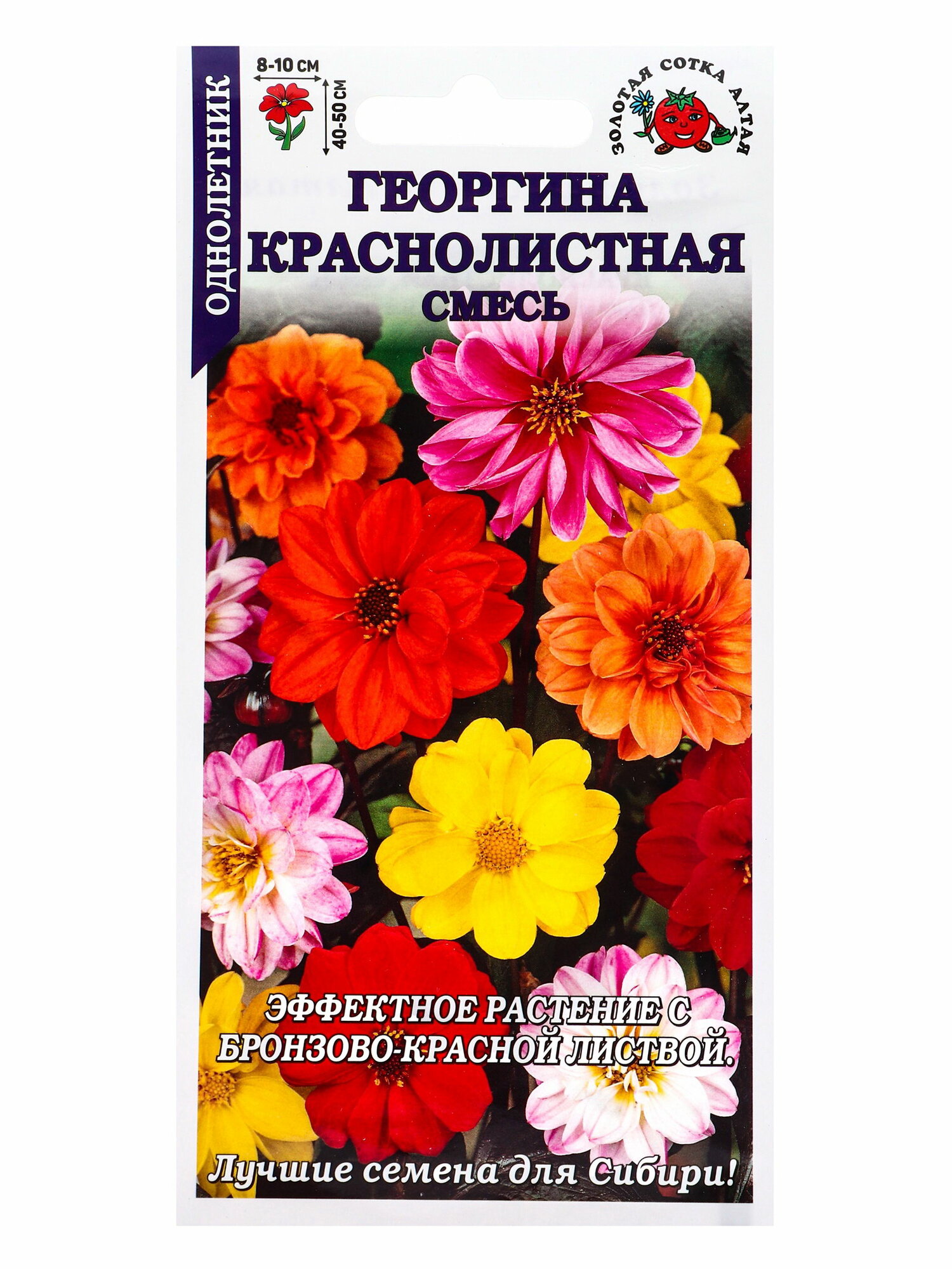 Семена Георгина "Краснолистная", смесь, 0.1 г, размер упаковки: 8 x 0.2 x 15 см.