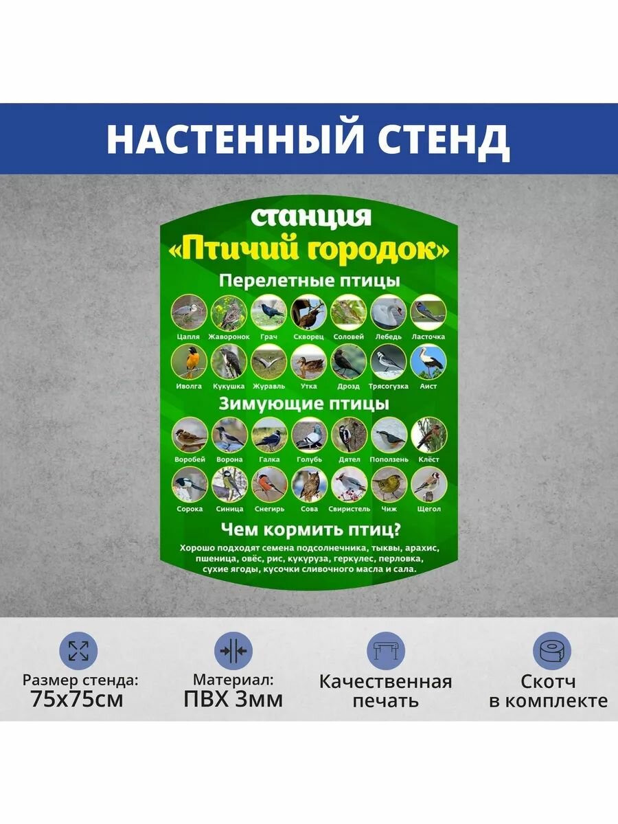 Стенд для садика "Станция Птичий городок" XL 750х750мм