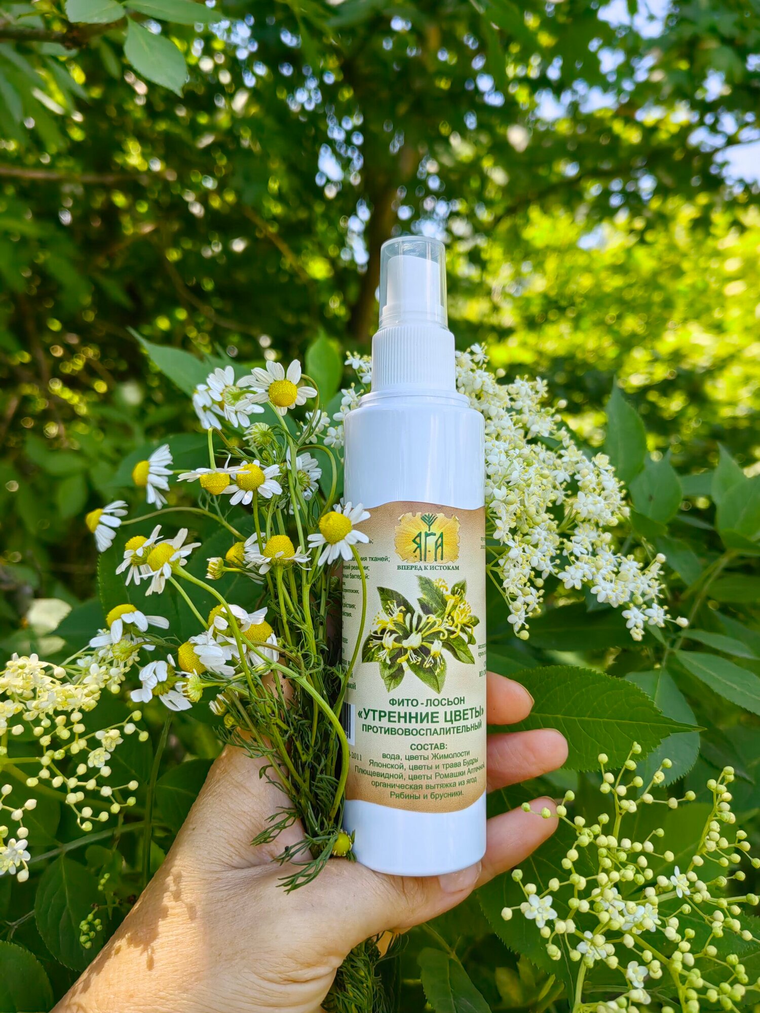 Фито лосьон Утренние цветы противовоспалительный, Сия косметика, 115 мл